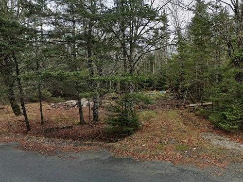 441 Conrads Road, Queensland, NS, B0J 1T0 - vacant land for sale ...