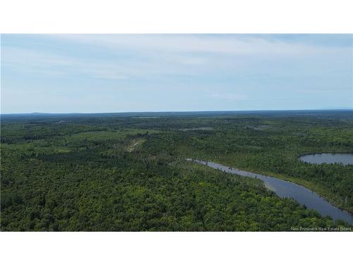 0 540 Rte, Blowdown, NB, A0A 0A0 - vacant land for sale | Listing ID ...