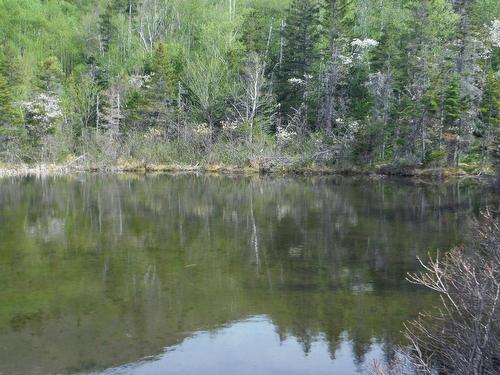 Chemin Du Lac Road, Grand Étang, NS, B0E 1L0 - vacant land for sale ...