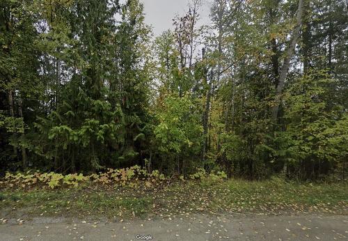 Stampede Trail, Anglemont, BC, V0E 1M8 - vacant land for sale | Listing ...