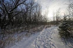 Lorette, MB Real Estate - Houses For Sale in Lorette, Manitoba - Houses ...